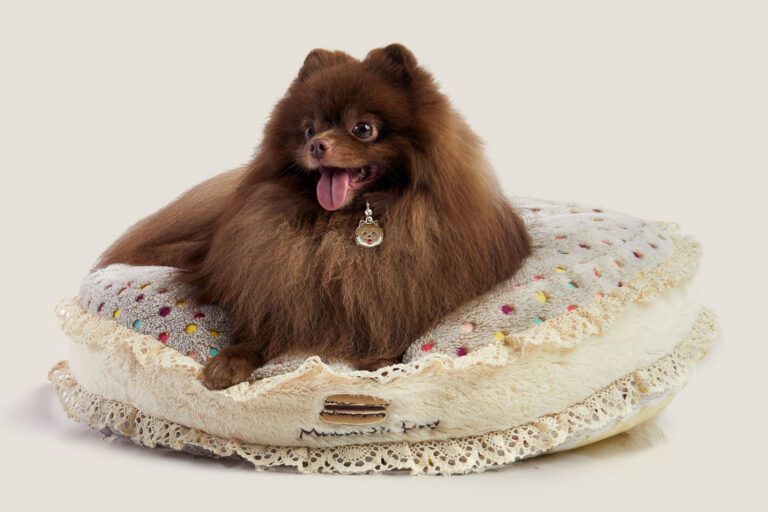 POSH PAWS - Luksusowy butik dla psa, Akcesoria dla psów