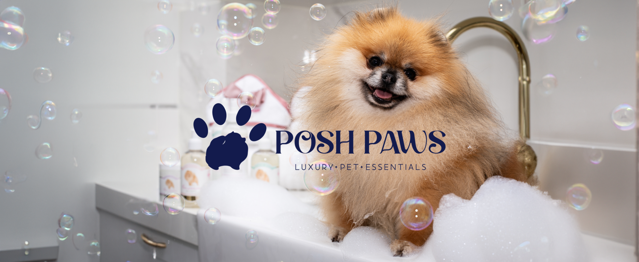 POSH PAWS - Luksusowy butik dla psa, Akcesoria dla psów